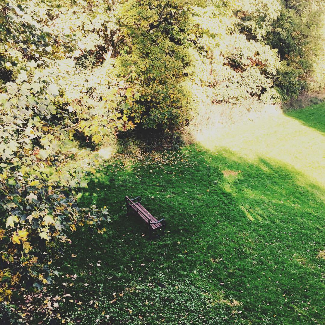 Mô hình sơ cứu tâm lý của BMVN | Tâm hồn đẹp Việt Nam